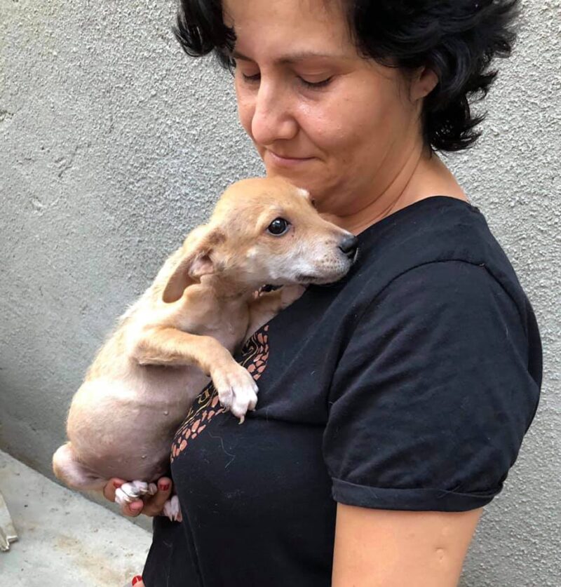 Tiiti - Onnentassut ry