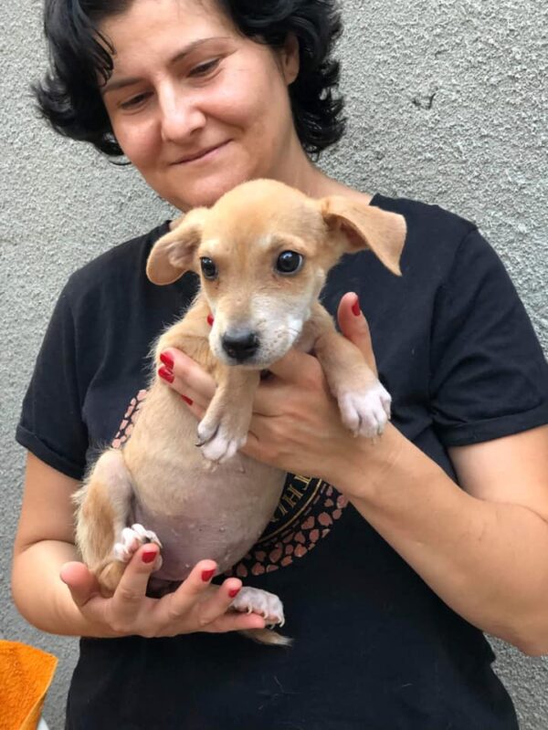 Tiiti - Onnentassut ry